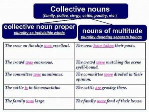 Nouns of multitude - ABC Learn